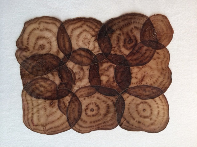 Papyrus Végétal – CALLIGRANE